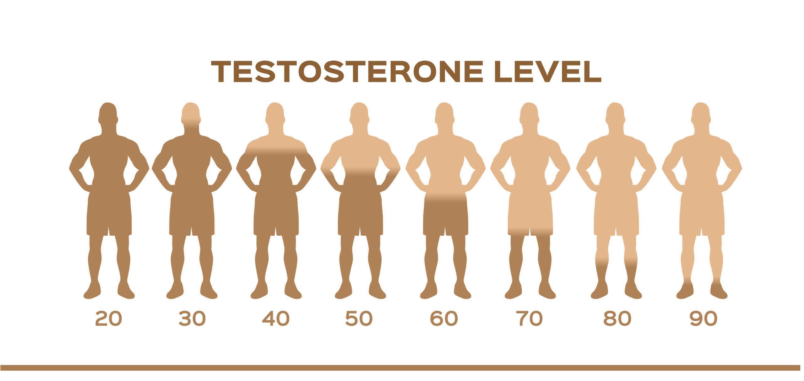 Ερωτηματολόγιο ADAM - Mentest